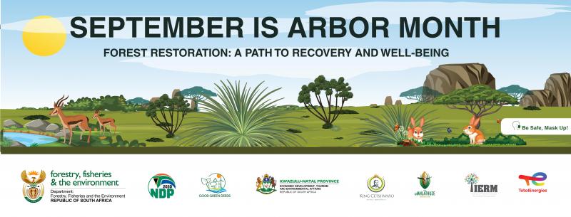 National Arbor Week South Africa | Indigenous Tree Planting & Greening ...